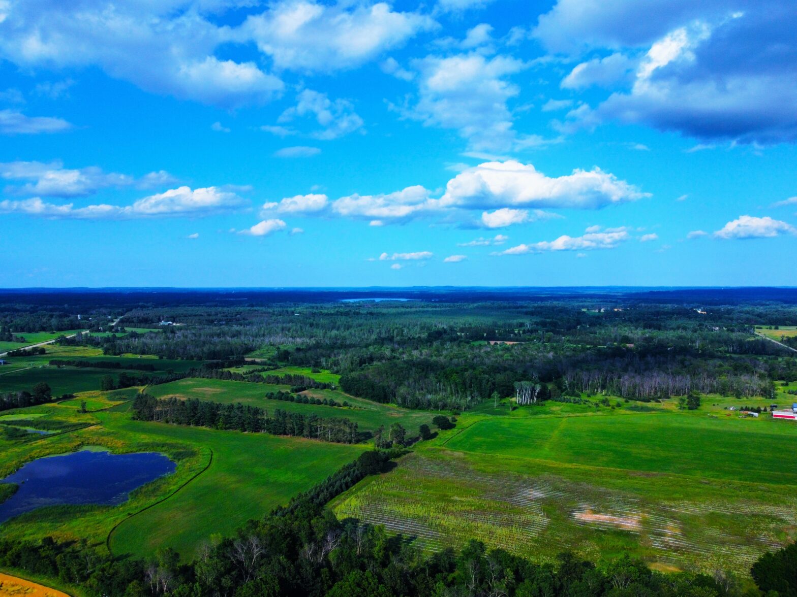 Wolf River Cam – One Look and You’re Hooked!