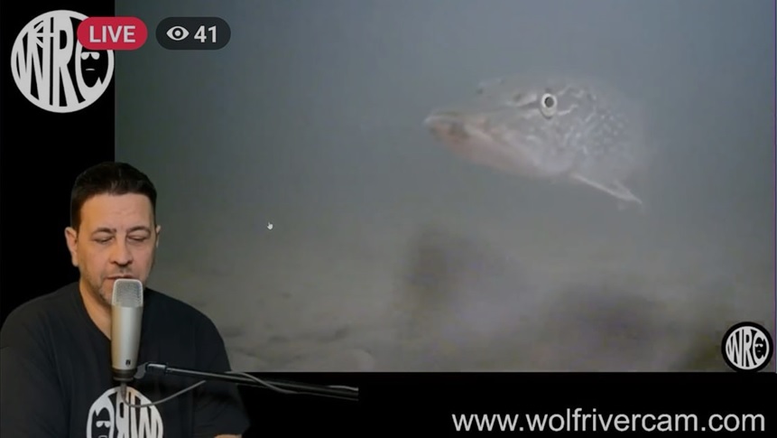 Wolf River Cam – One Look and You’re Hooked!